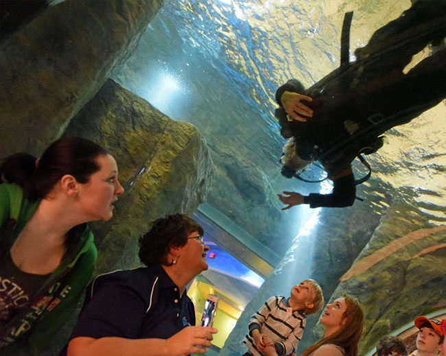 Museum and park passes – Carleton Place Public Library