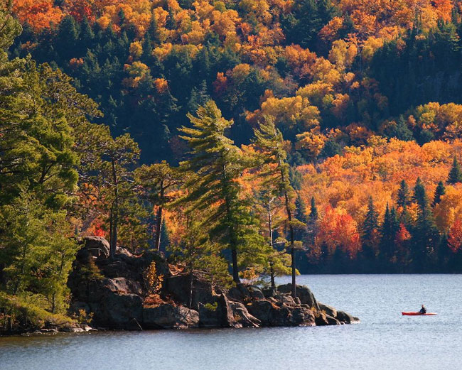 Museum and park passes – Carleton Place Public Library