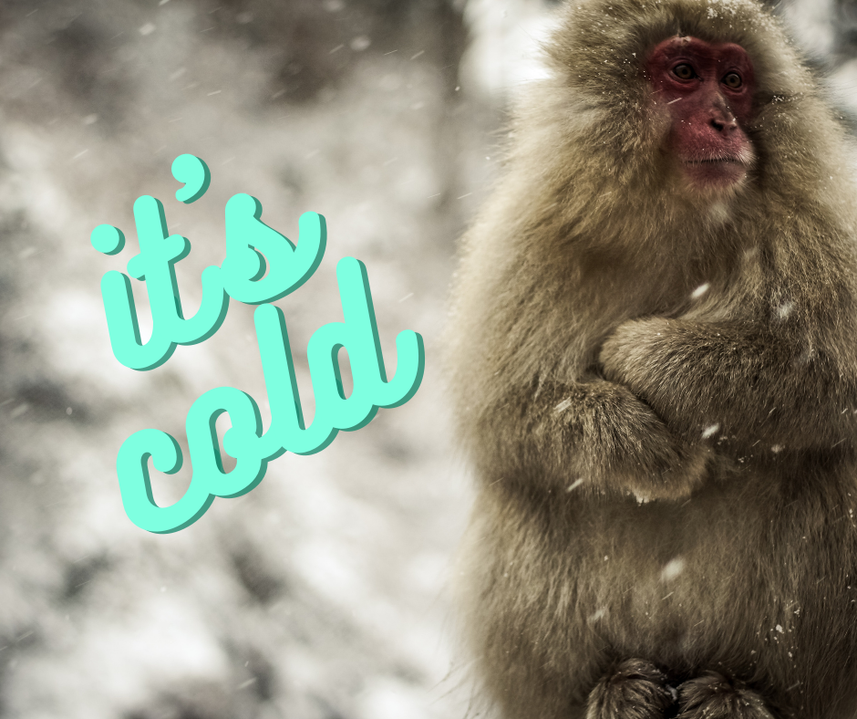 Stay Warm at the Library! - Carleton Place Public Library